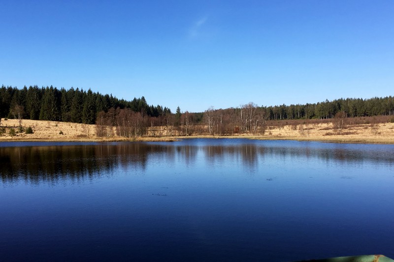 Fagnes et Schwarzsee